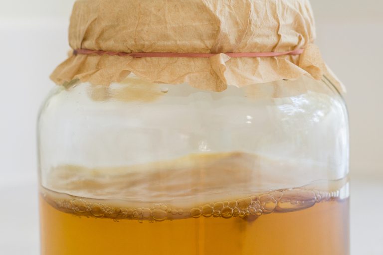 Where, How, And Why To Store Kombucha | Bucha Buddha
