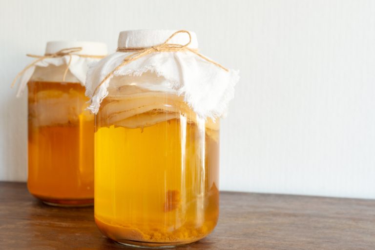 How To Store A Scoby For Long And Short-Term | Bucha Buddha