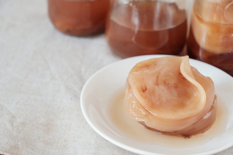 How To Spot A Healthy Kombucha SCOBY | Bucha Buddha