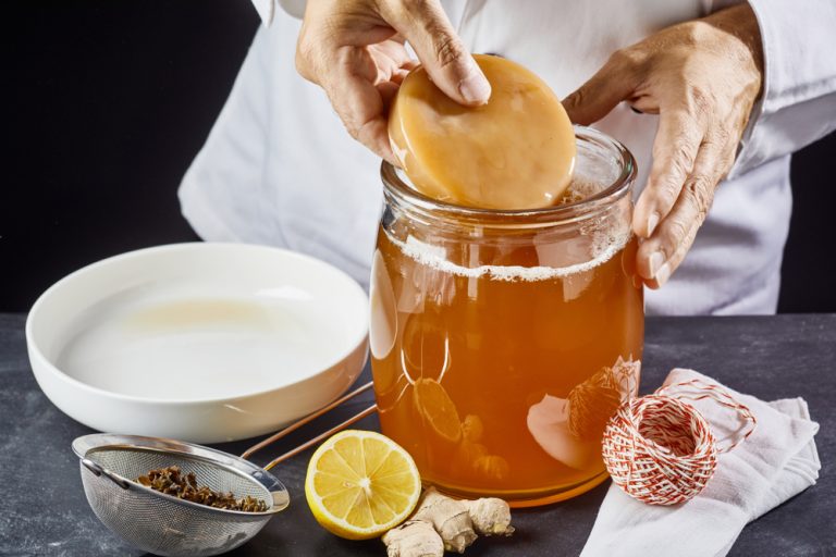 How To Spot A Healthy Kombucha SCOBY | Bucha Buddha