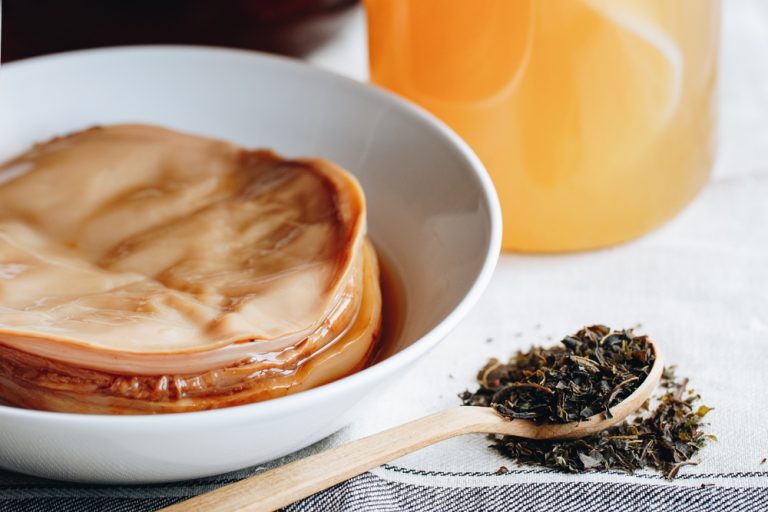 How Long Does A SCOBY Last And When To Get A New One