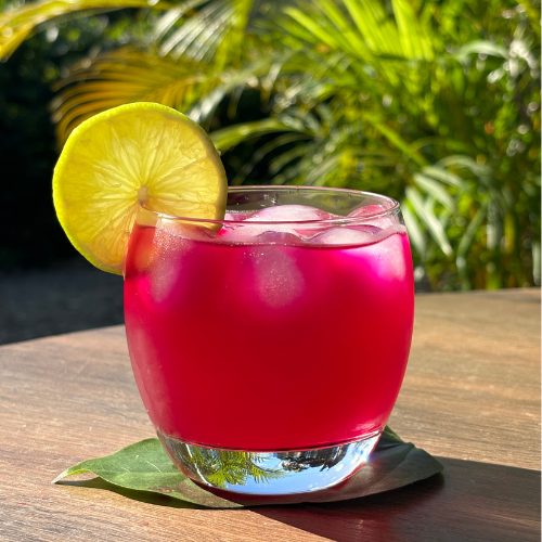 Bucha Buddha’s Ginger Beet Kombucha Recipe | Bucha Buddha