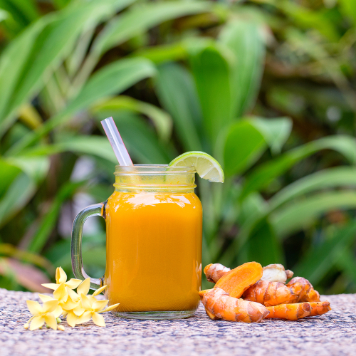 Bucha Buddha's Lemon Turmeric Kombucha Recipe | Bucha Buddha